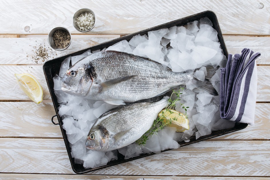 Dorade grise - Poissons de mer