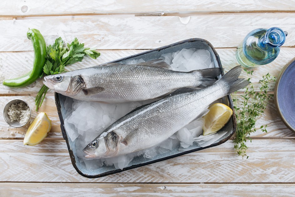 Loup / Bar - Poissons de mer